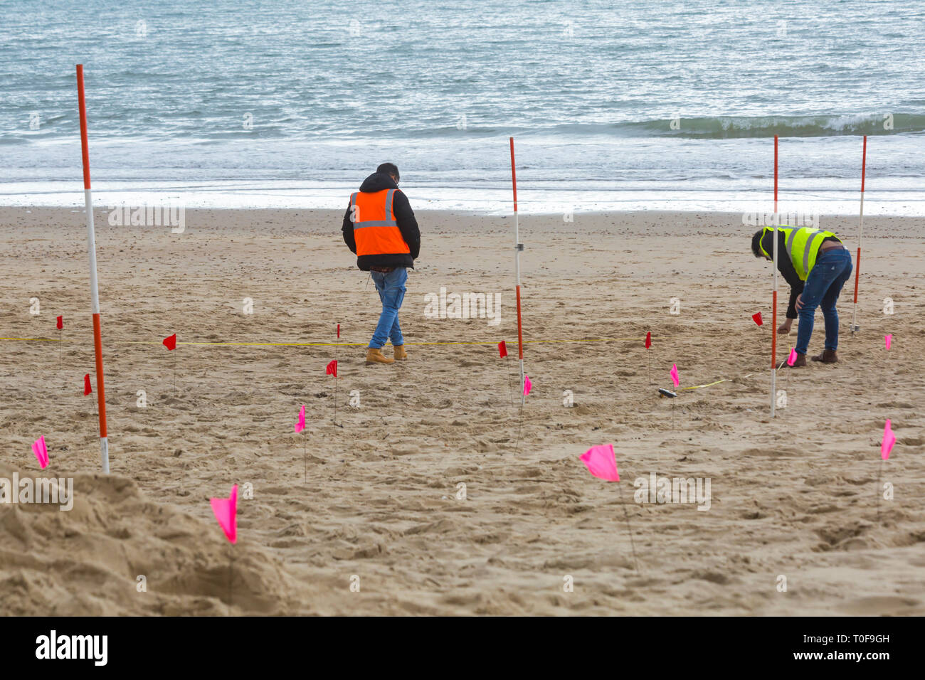 Students measuring beach hi-res stock photography and images - Alamy