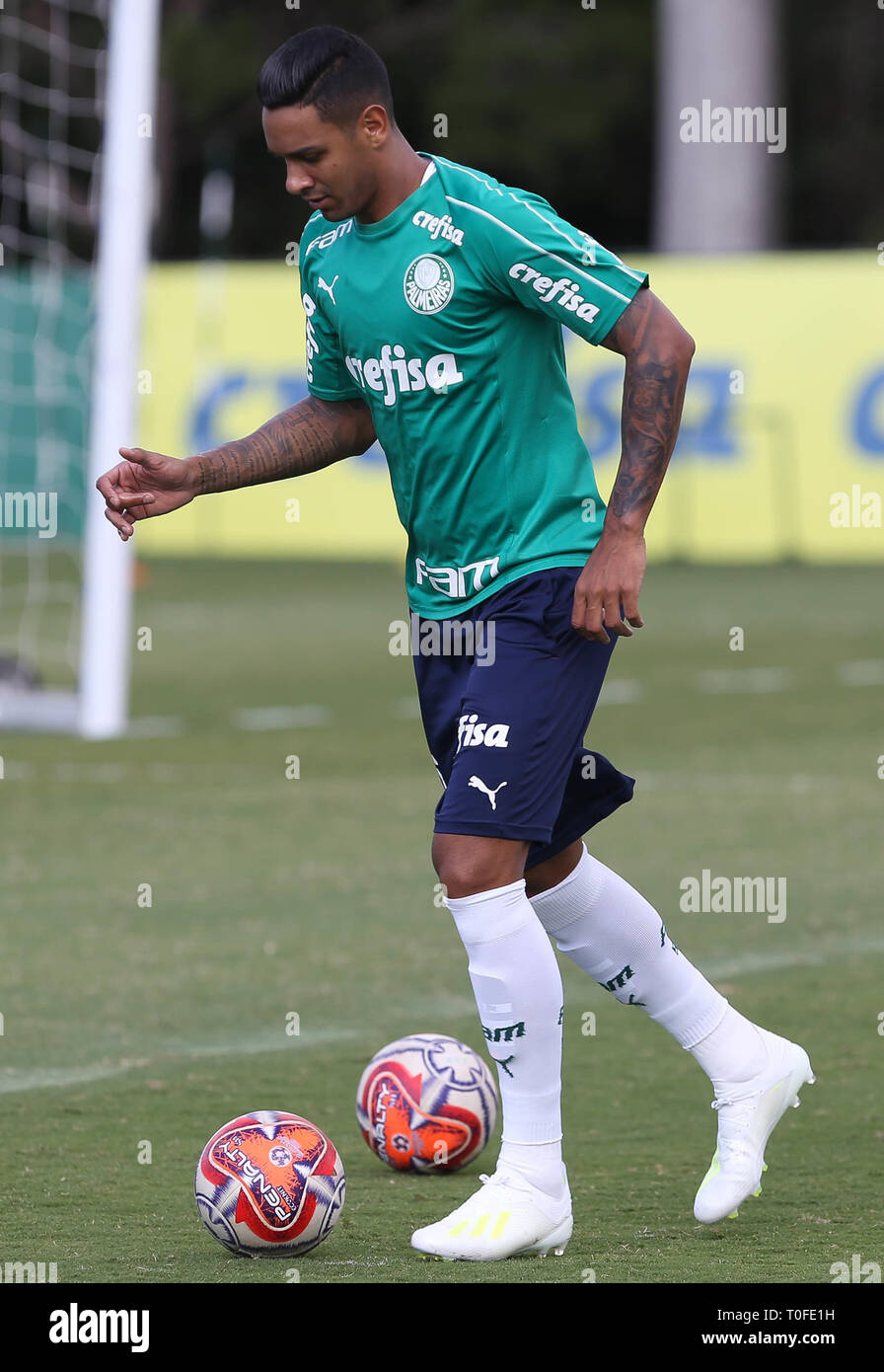 Sao Paulo, Brazil. 19th Mar 2019. The player Antonio Carlos, from SE ...