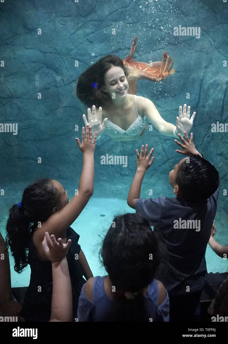 Sao Paulo, Brazil. 19th Mar, 2019. MERMAID - A woman dressed as a ...