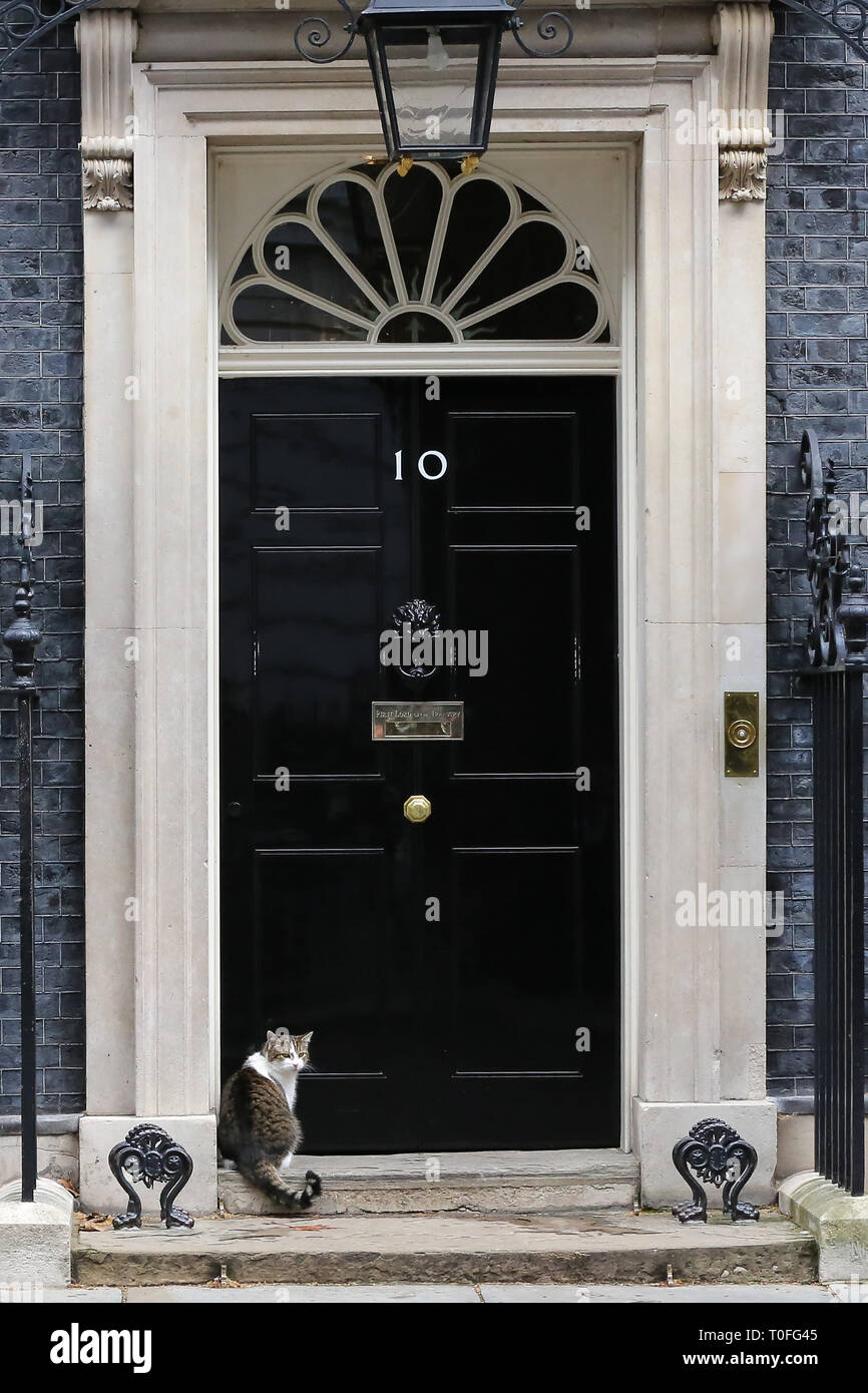 Steps of no 10 downing street hi-res stock photography and images - Alamy