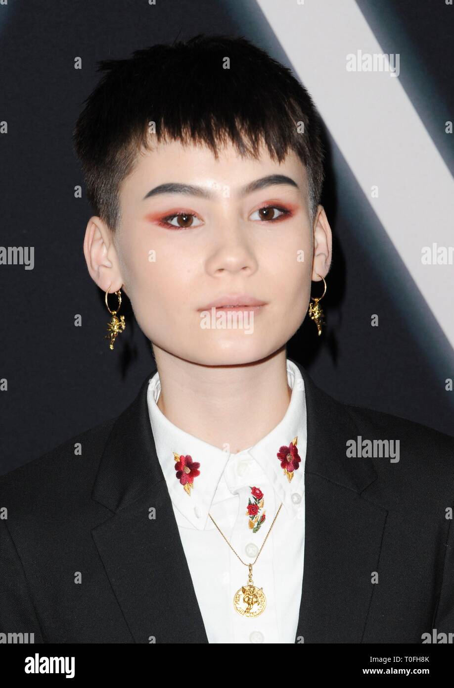 Los Angeles, CA, USA. 19th Mar, 2019. Ian Alexander at arrivals for THE ...