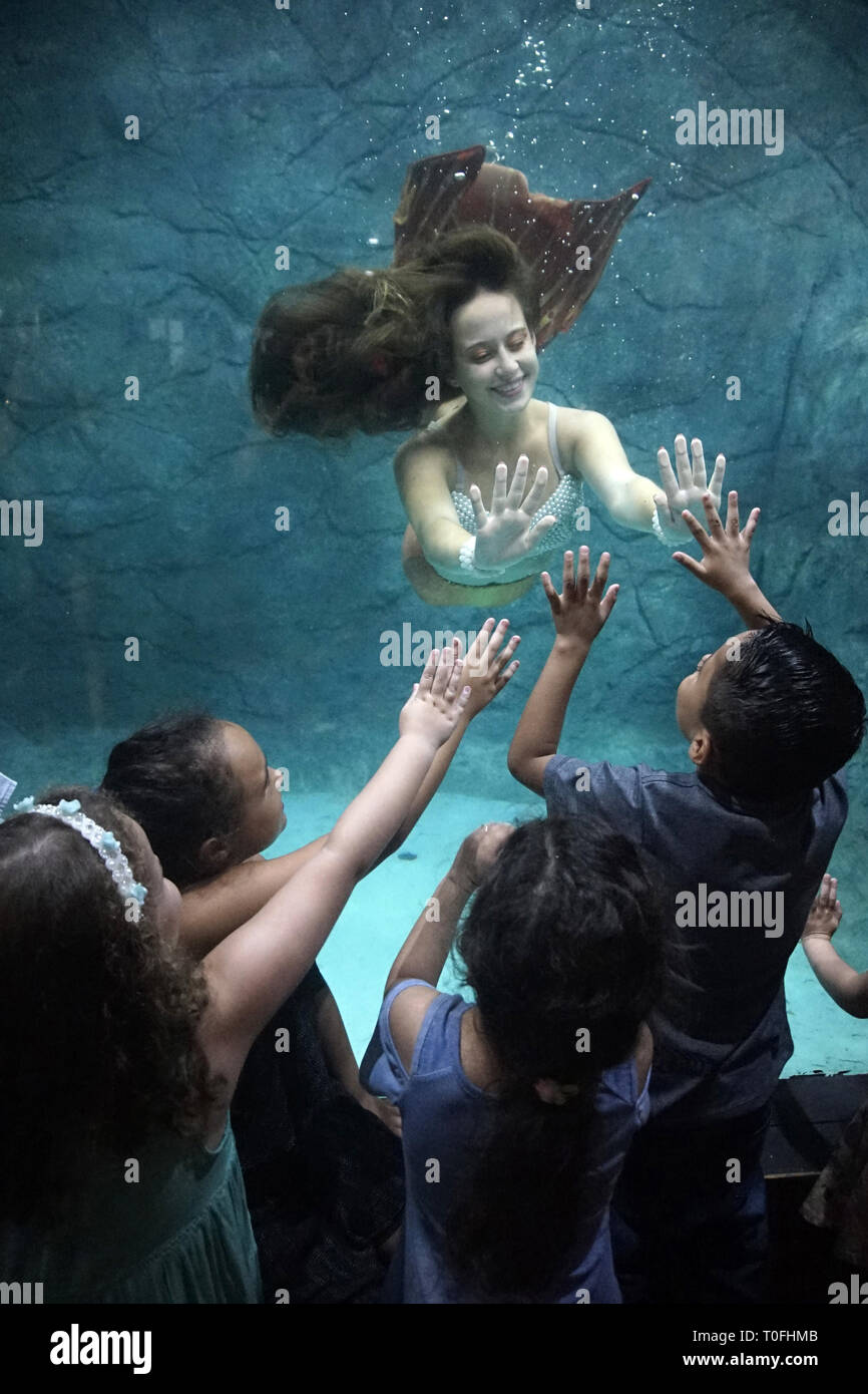 Sao Paulo, Brazil. 19th Mar, 2019. A woman dressed as a mermaid ...
