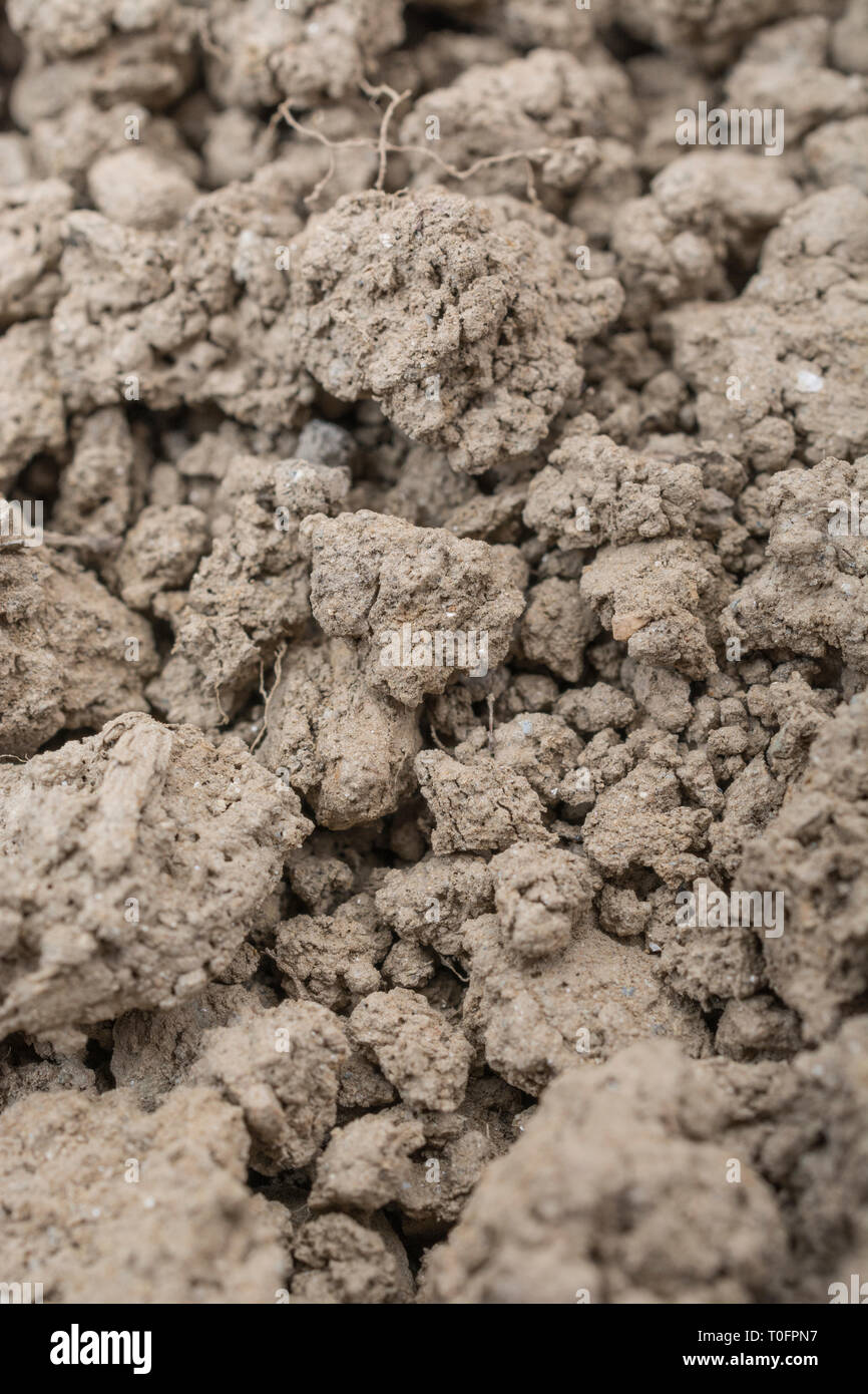 Wide-angle macro of bone-dry soil showing particulate & finest soil ...