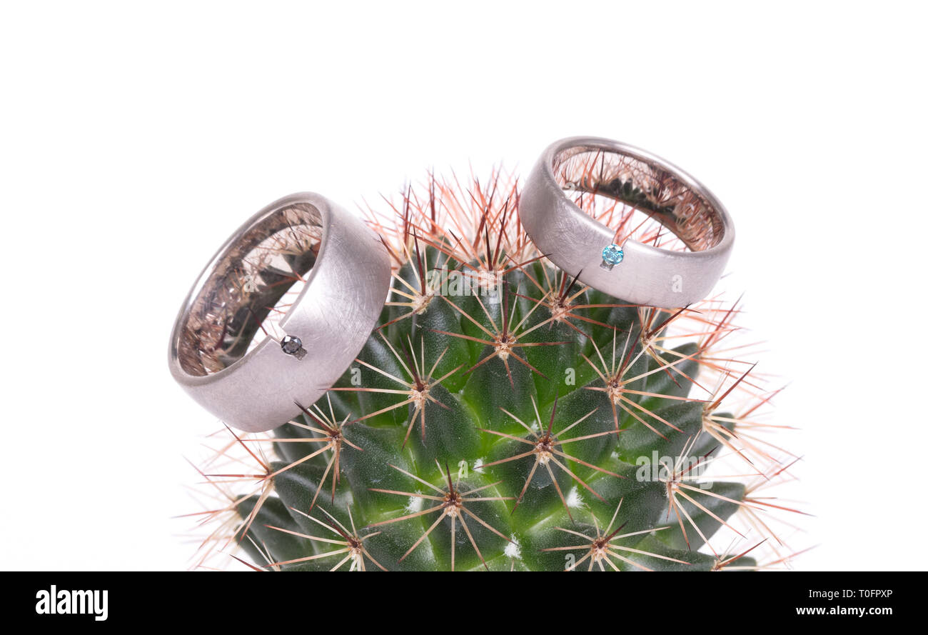 Romantic wedding ring on Cactus and white background Stock Photo - Alamy