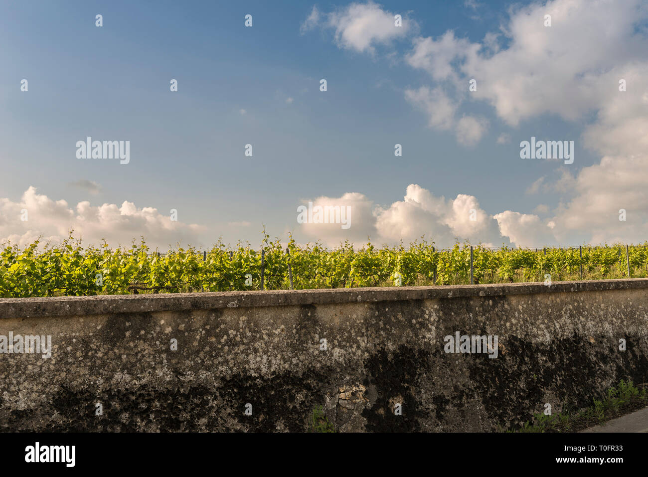 Mutigny village hi-res stock photography and images - Alamy