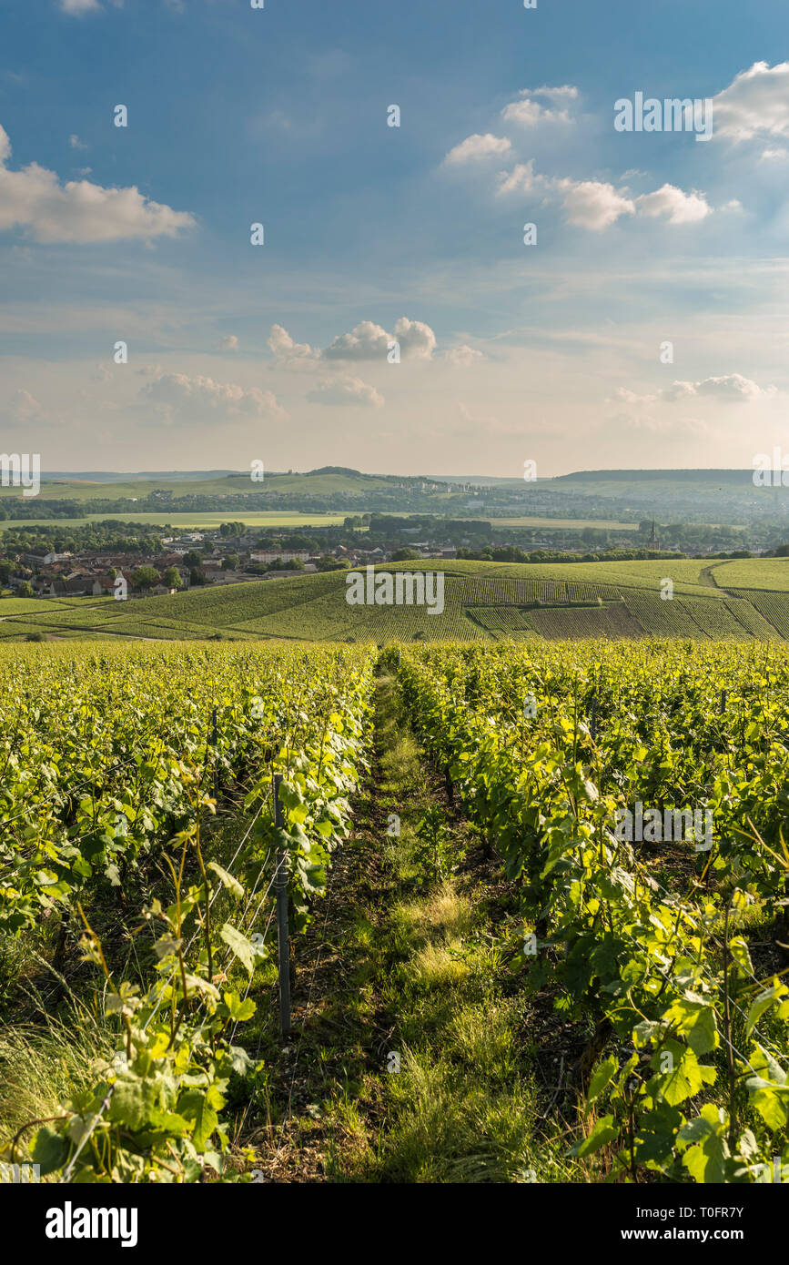 Mutigny village hi-res stock photography and images - Alamy