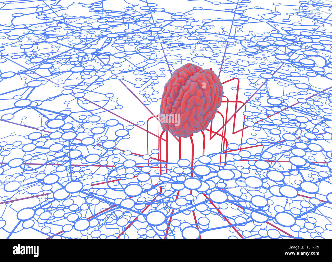 Circles linked by lines blue connection system brain, over white ...