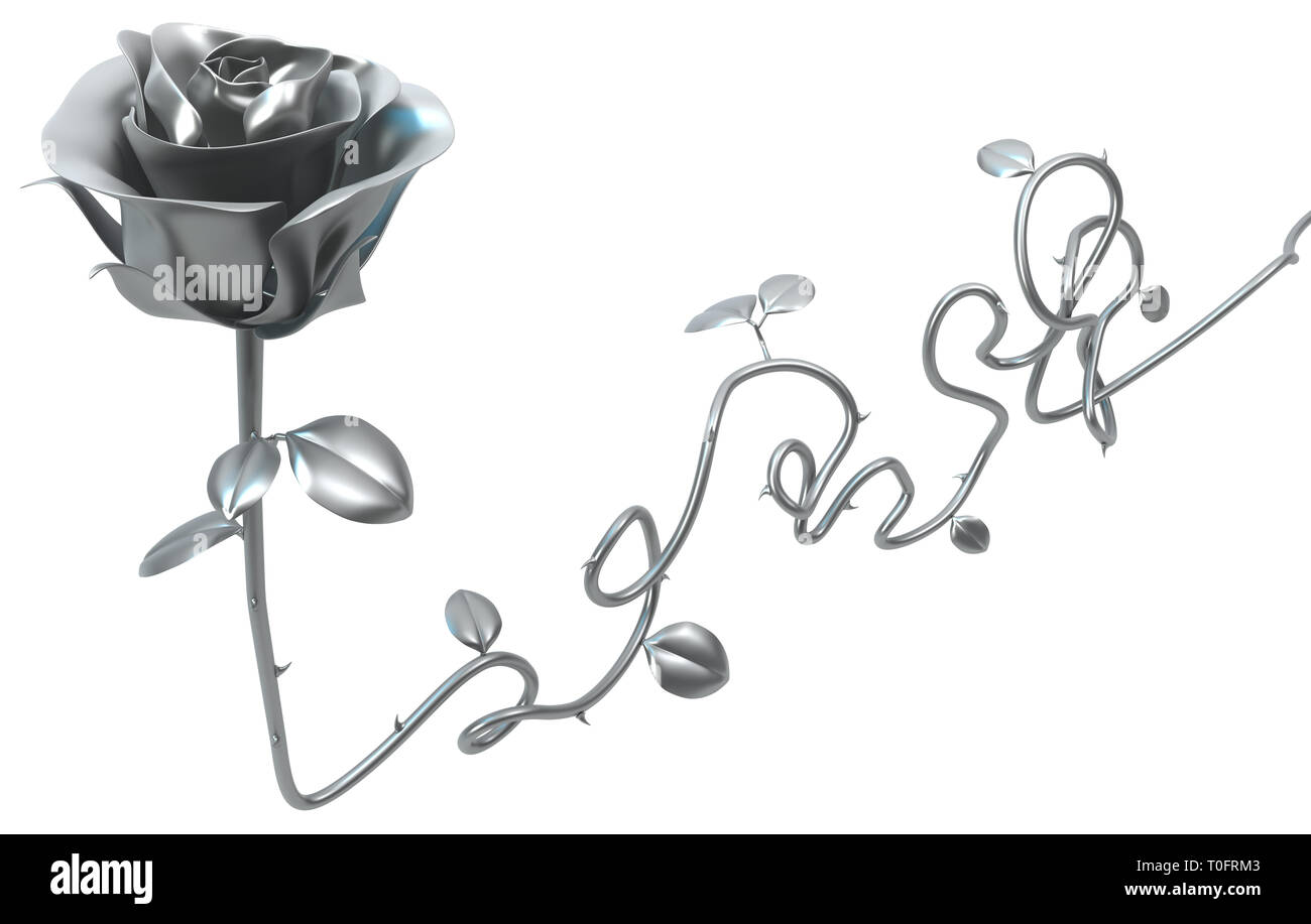 Rose long stem hi-res stock photography and images - Alamy