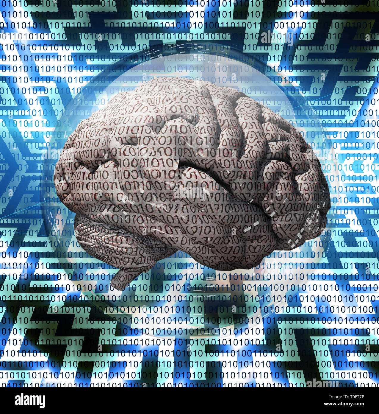 Human Brain with binary code contained inside glass sphere. Maze ...