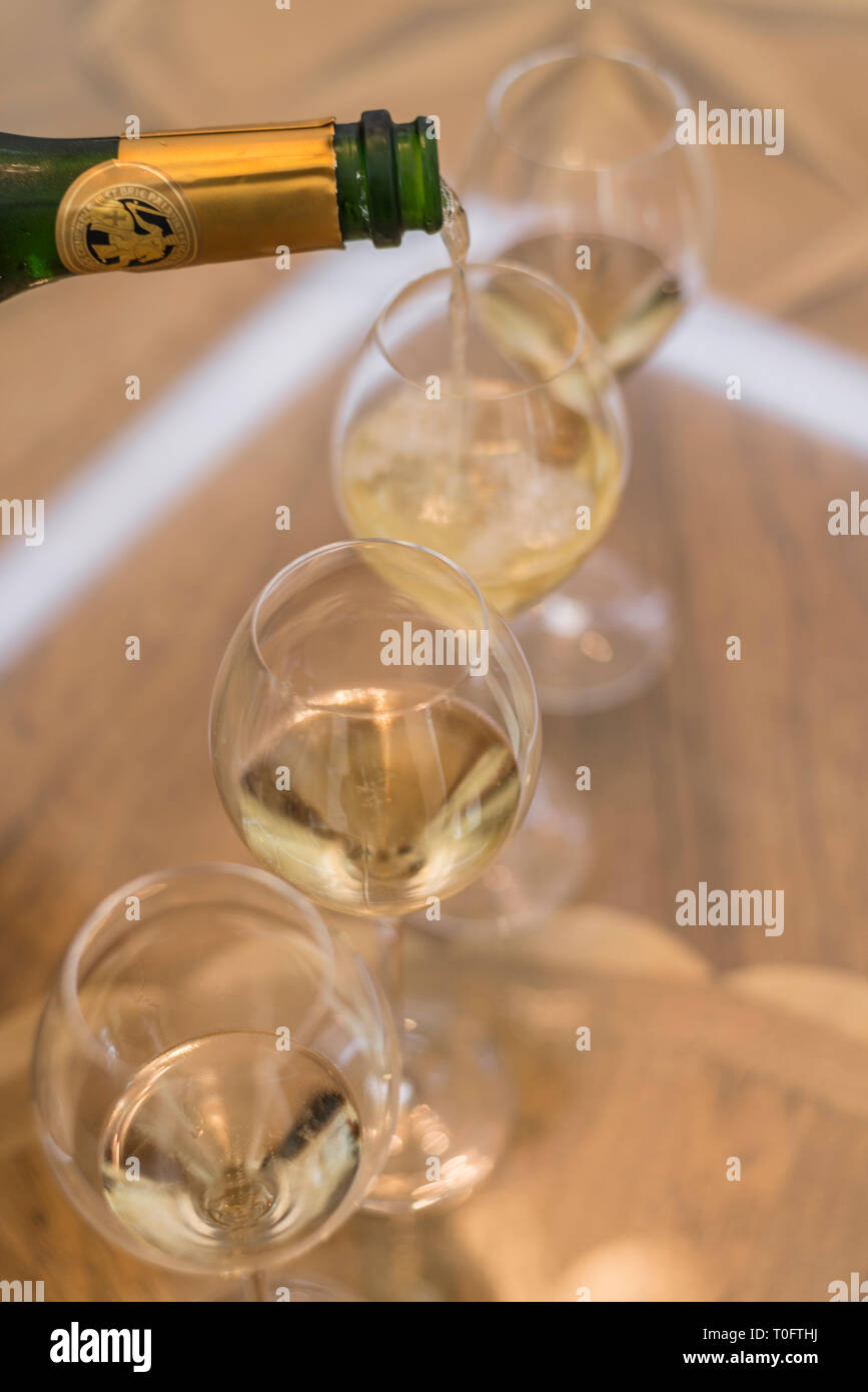 Taittinger Champagne tasting, House Tattinger, Reims, France Stock ...