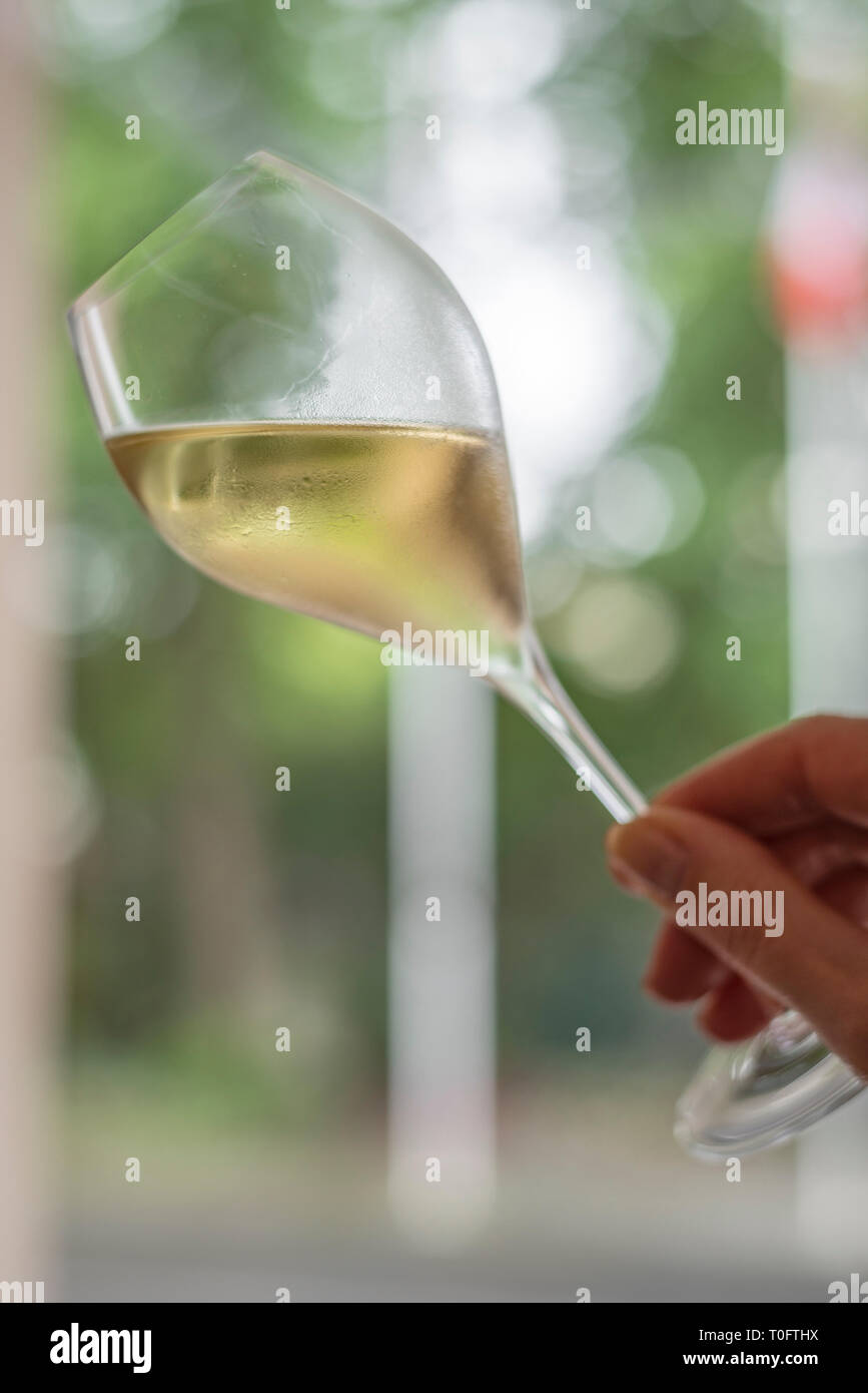 Taittinger Champagne tasting, House Tattinger, Reims, France Stock ...