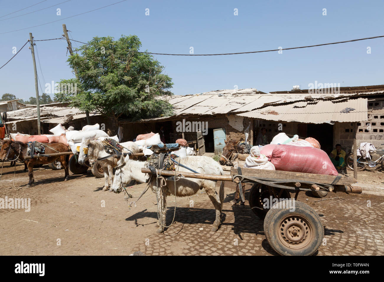 Addis ababa ethiopia woman selling hi-res stock photography and images ...