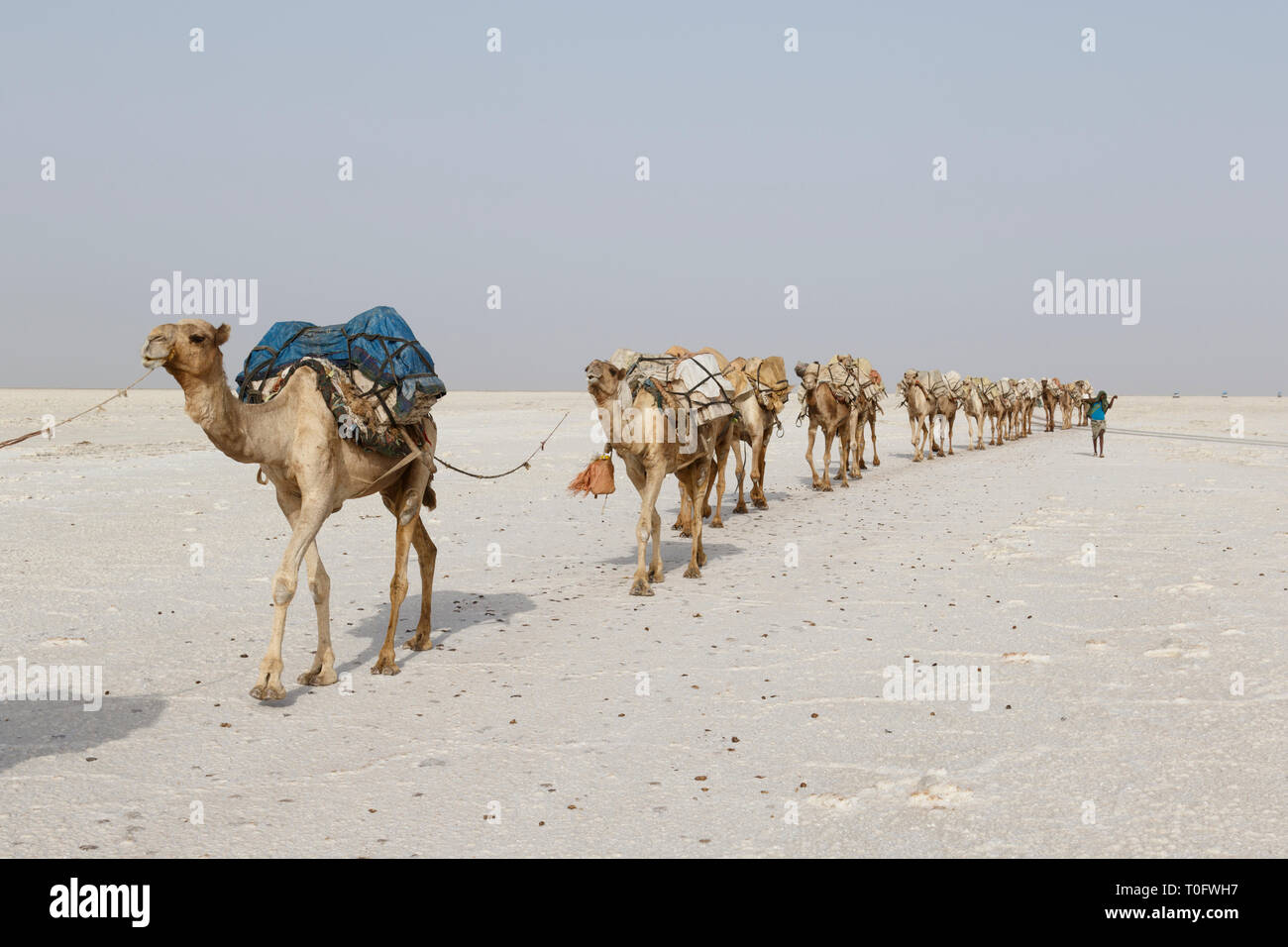 Salt blocks africa hi-res stock photography and images - Alamy