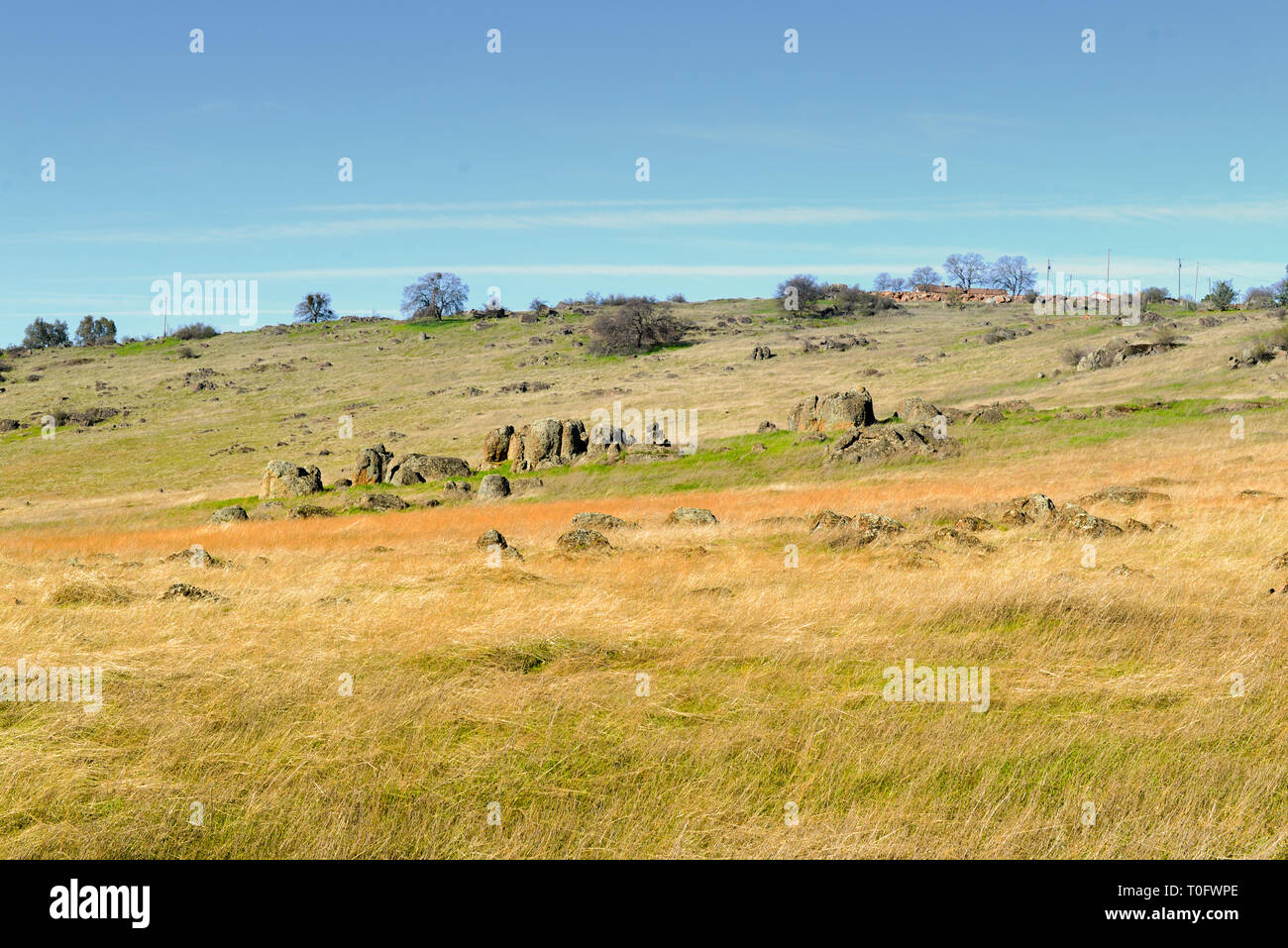 Joshua Hose High Resolution Stock Photography and Images - Alamy