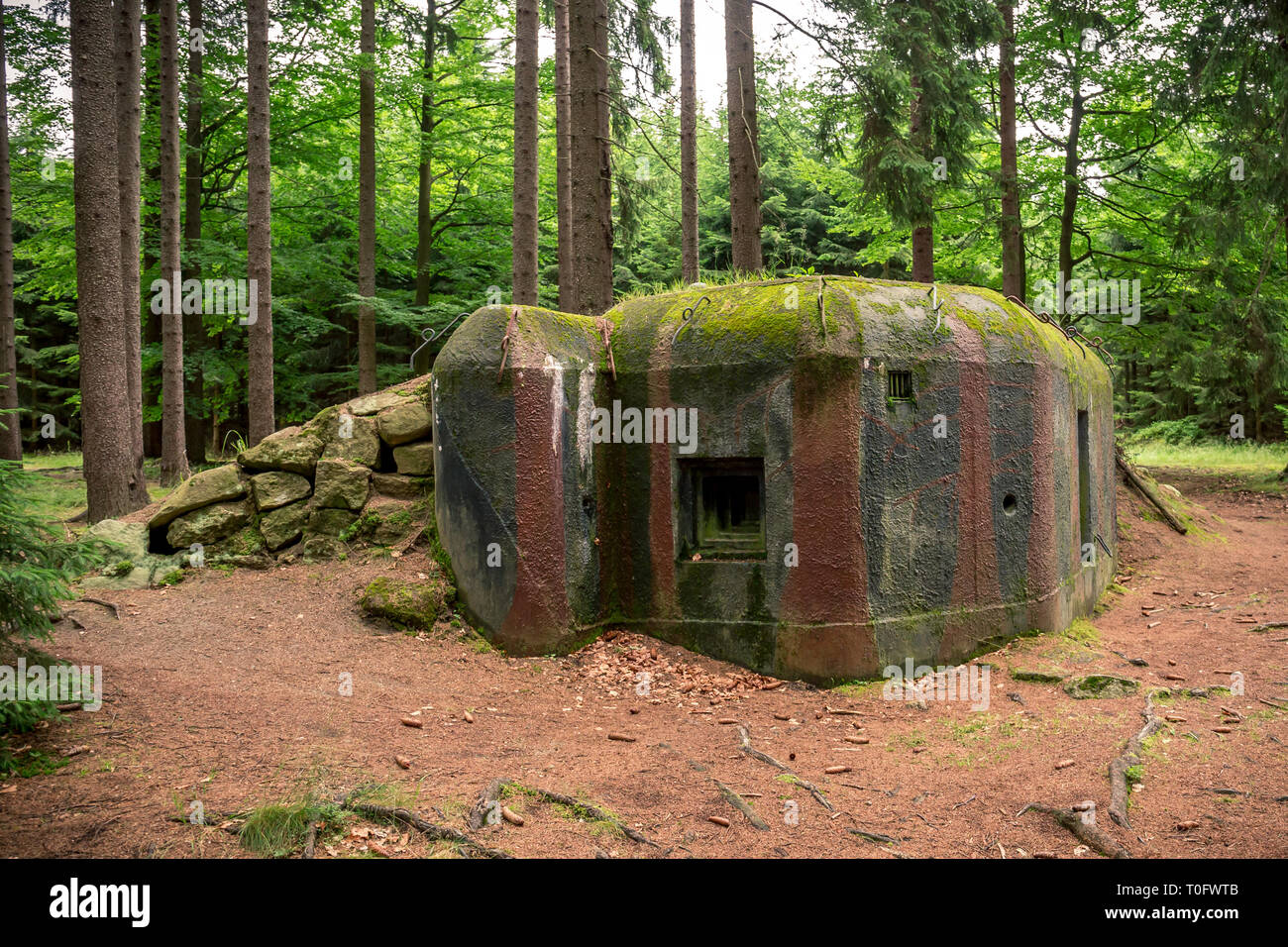 Camouflaged bunker WWII in the dark forrest Stock Photo - Alamy