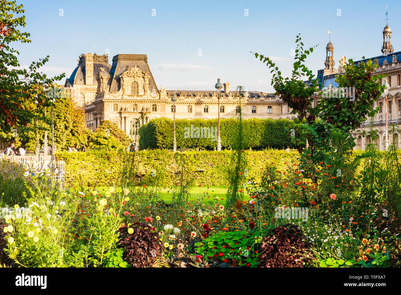 Louvre Museum and The Tuileries Garden in Paris, France Stock Photo - Alamy