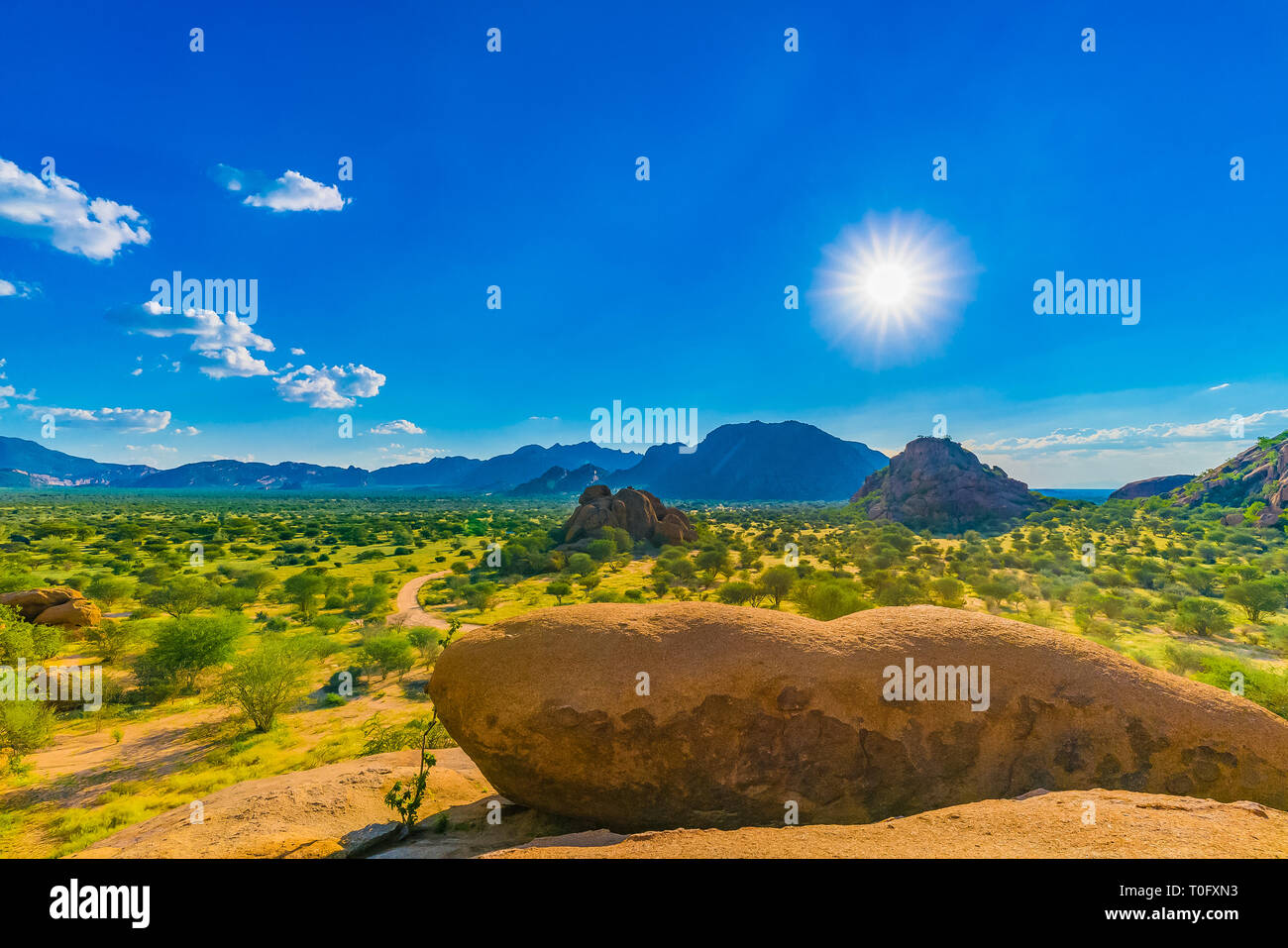 rock drawings Erongo mountains Stock Photo - Alamy