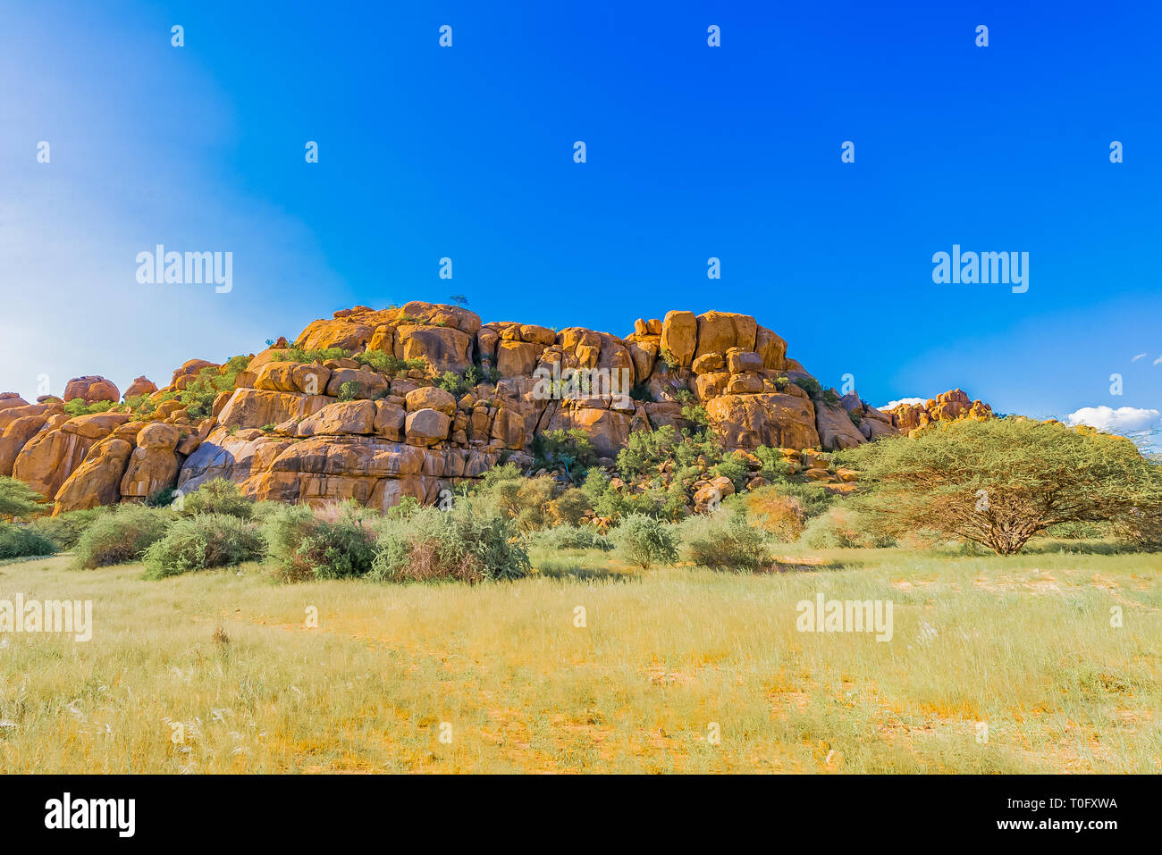rock drawings Erongo mountains Stock Photo - Alamy