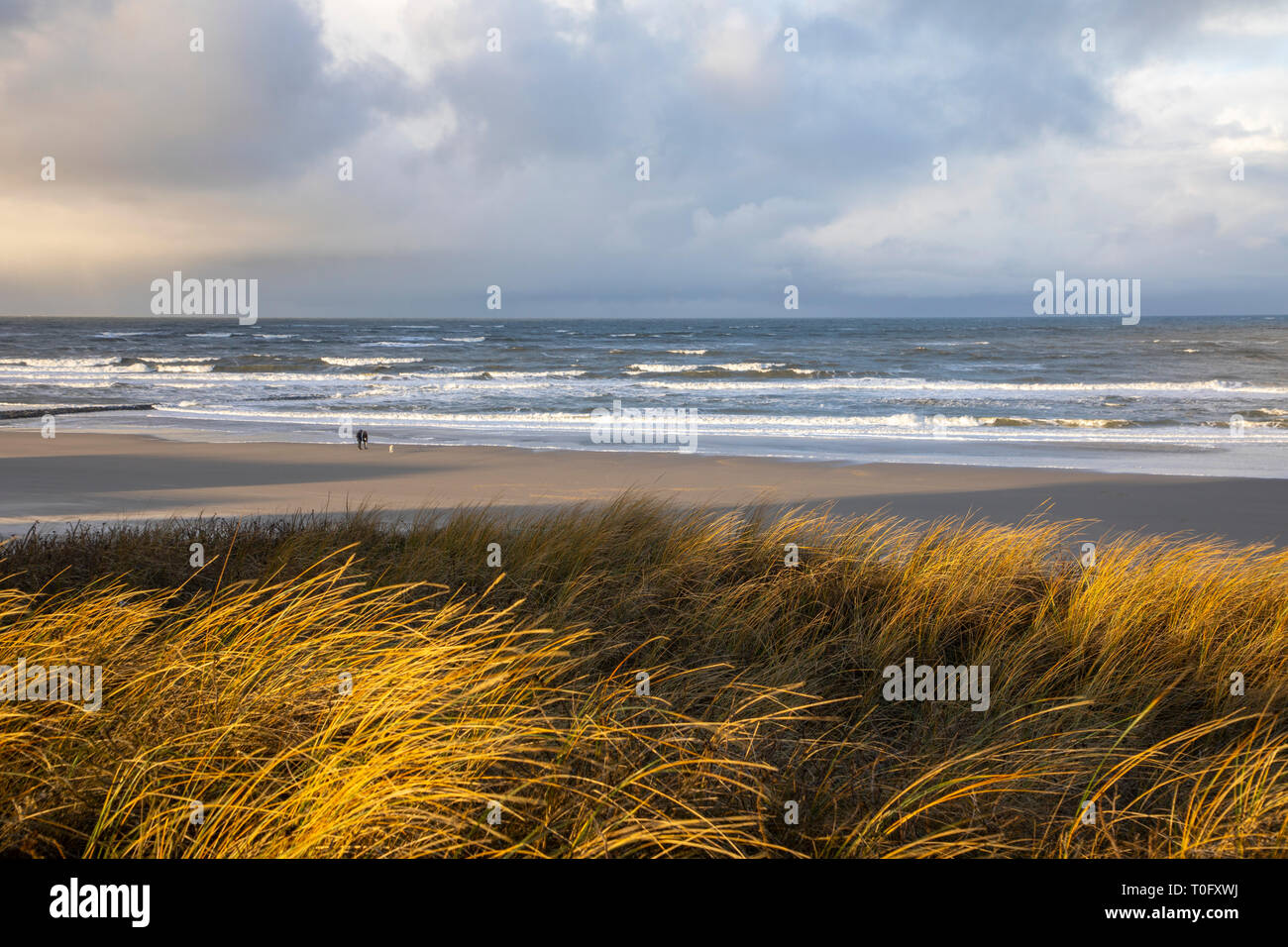 Island Wangerooge, Ostfriesland, Wadden Sea, west beach at storm, beach ...