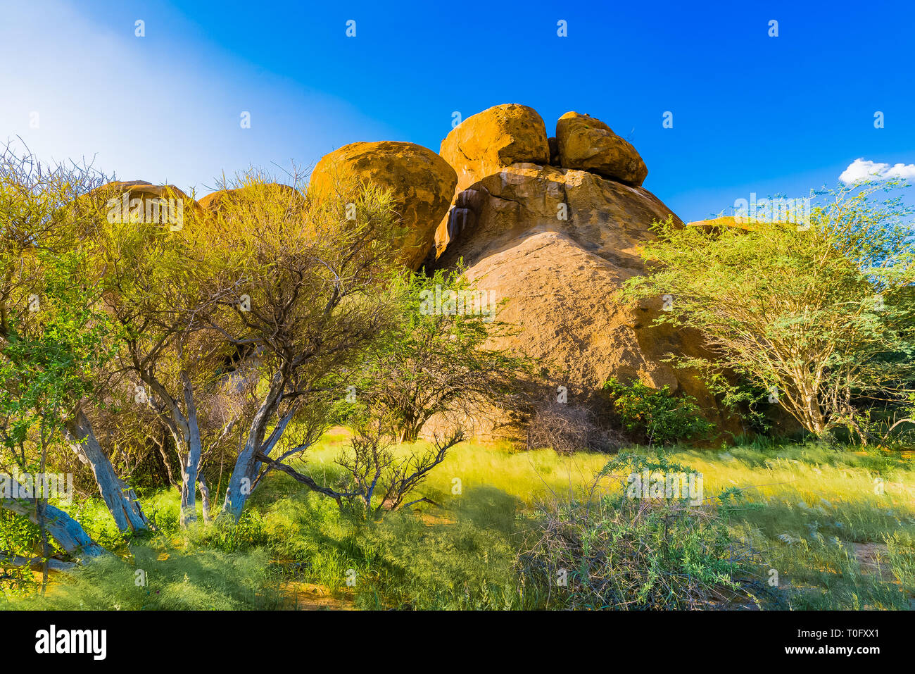 rock drawings Erongo mountains Stock Photo - Alamy