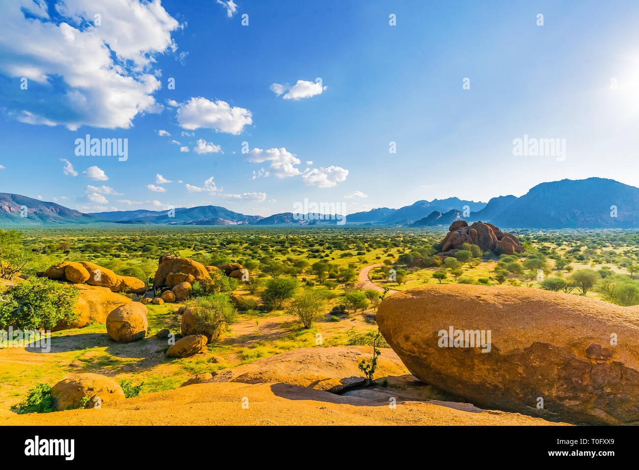 rock drawings Erongo mountains Stock Photo - Alamy