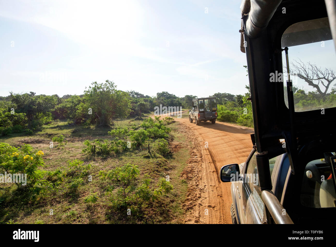 Yala safari hi-res stock photography and images - Alamy