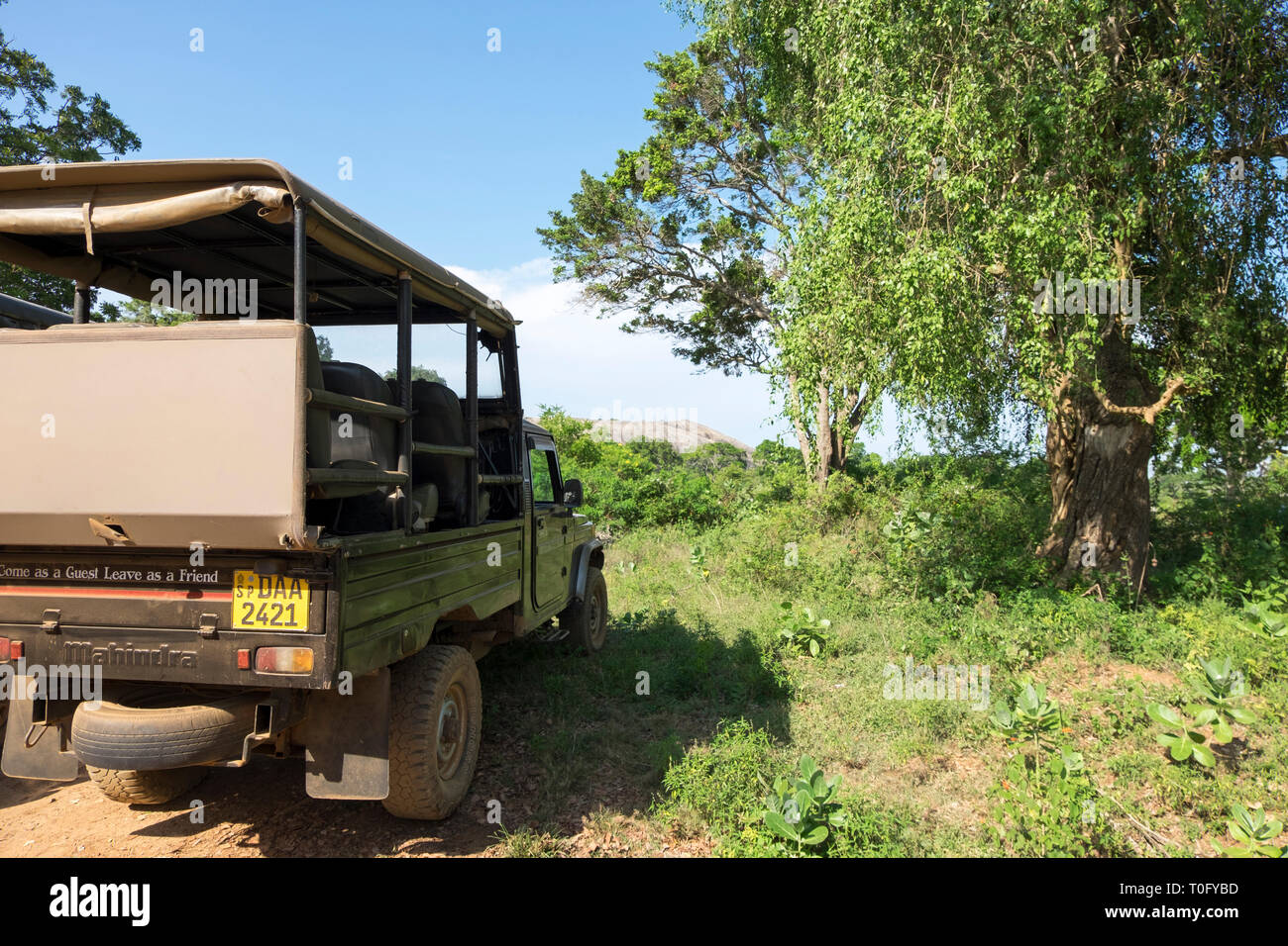 Yala safari hi-res stock photography and images - Alamy
