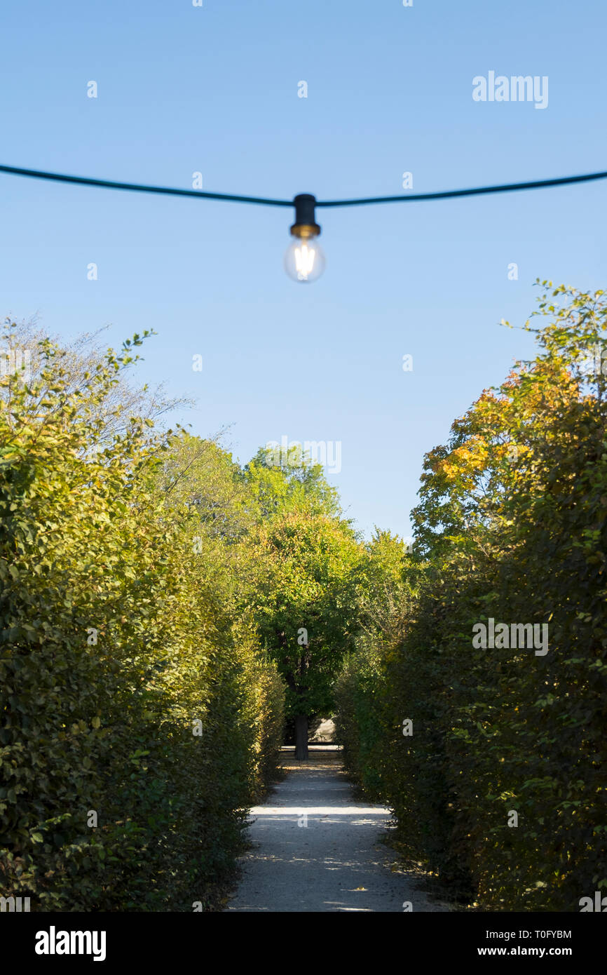 Lightbulb tree hi-res stock photography and images - Alamy