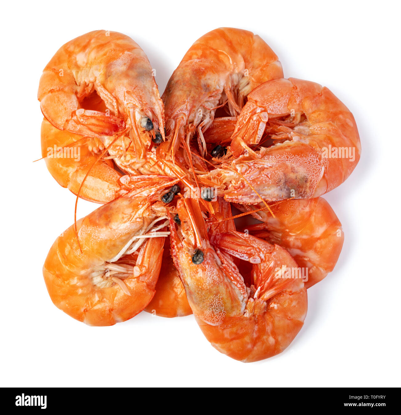 shrimp isolated on a white background Stock Photo - Alamy