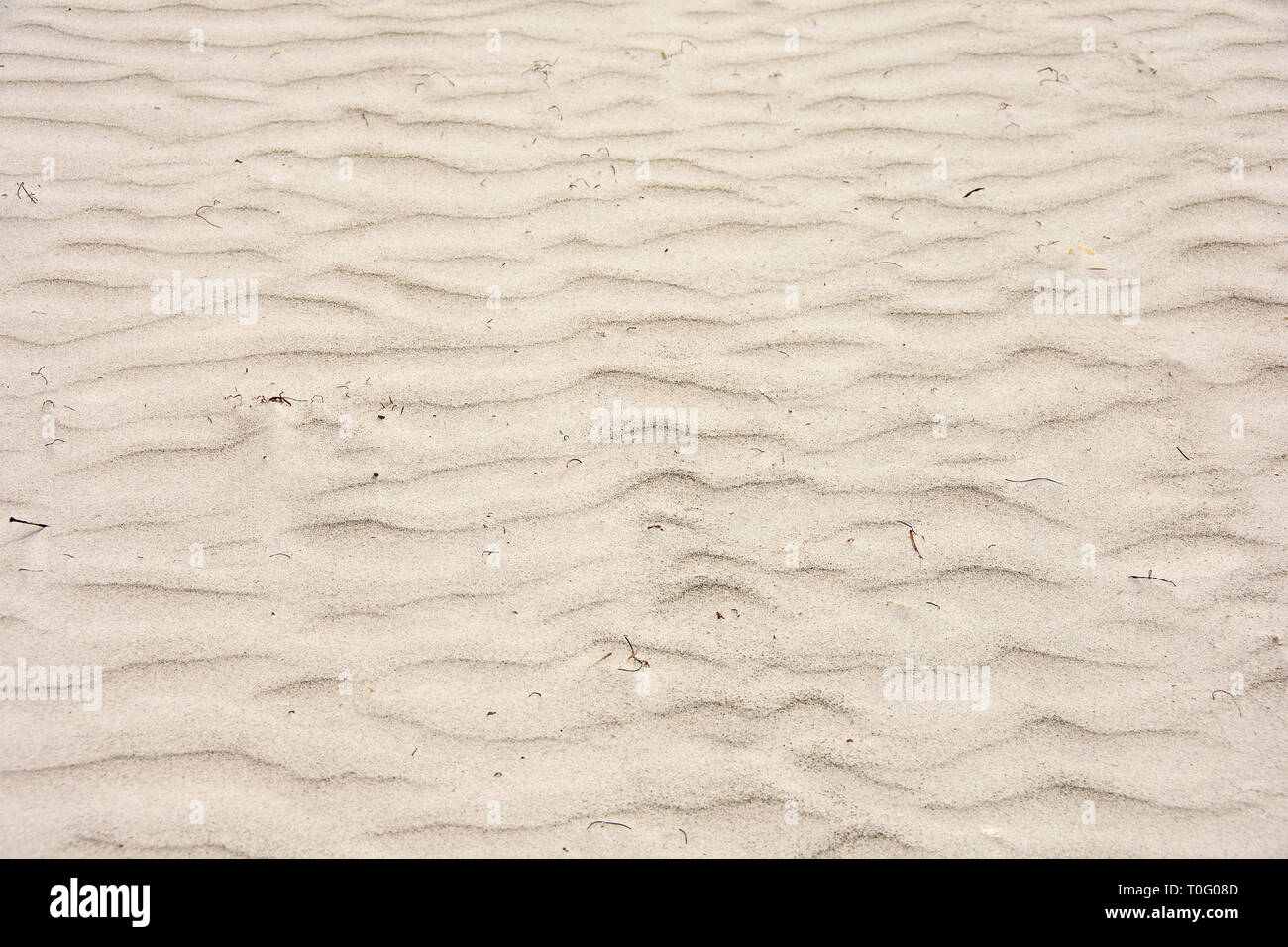 close up of windswept rippled beach sand Stock Photo - Alamy
