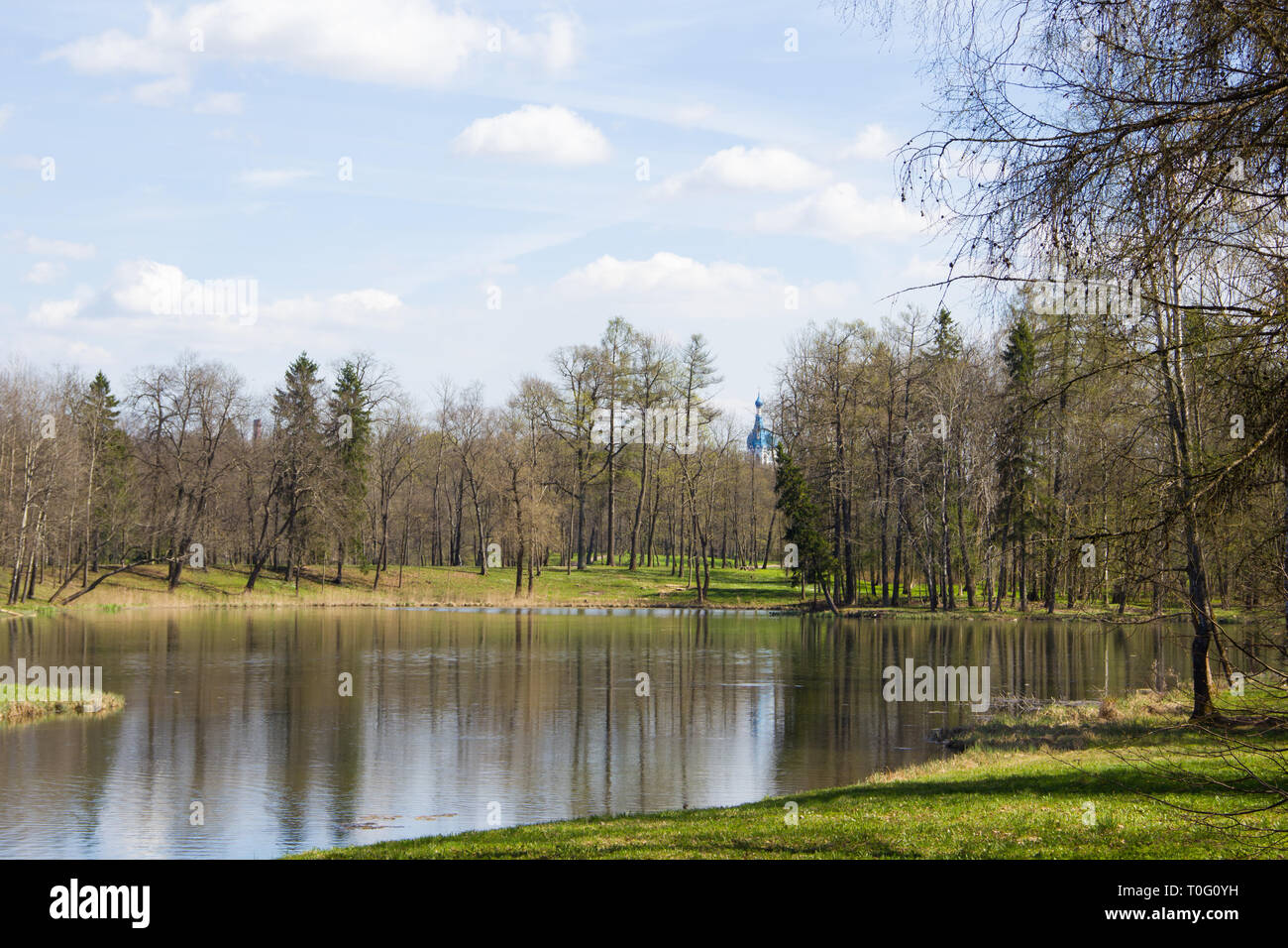 Sunny spring park urban. Warms in the park. Foliage blooms and the ...