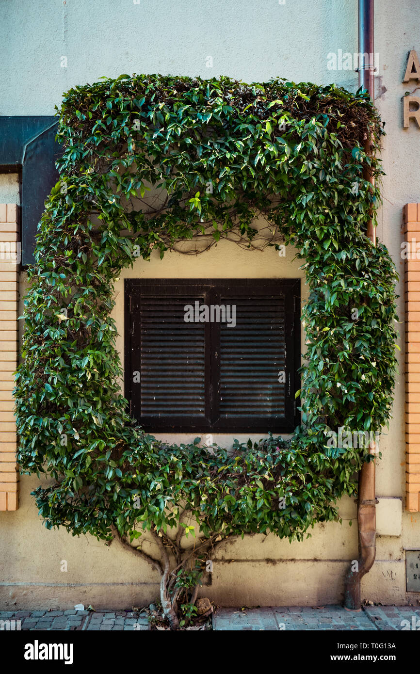 Scenery decor hi-res stock photography and images - Alamy