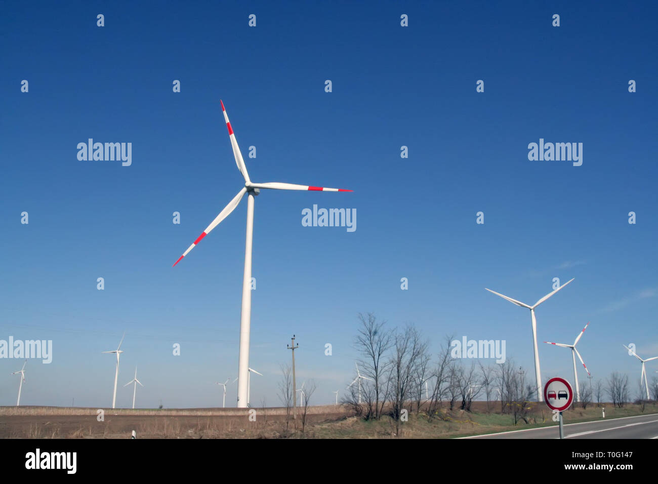 Windmill field. Electric power plant. Wind force power plant ...