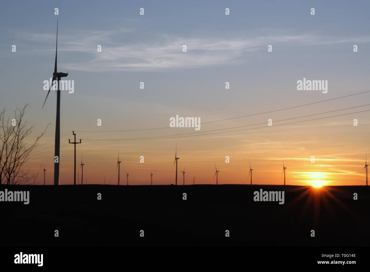 Windmill field. Electric power plant. Wind force power plant ...