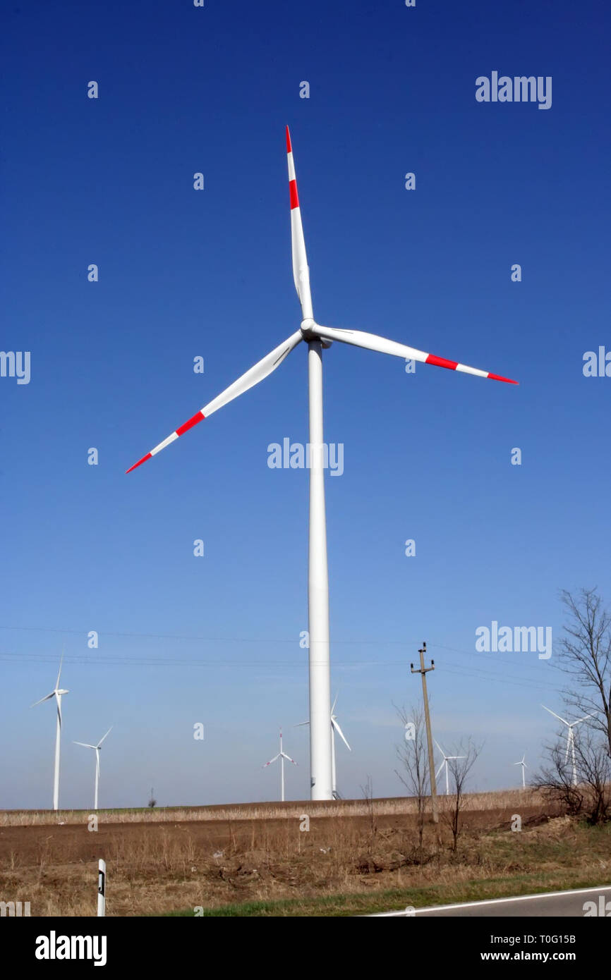 Windmill field. Electric power plant. Wind force power plant ...