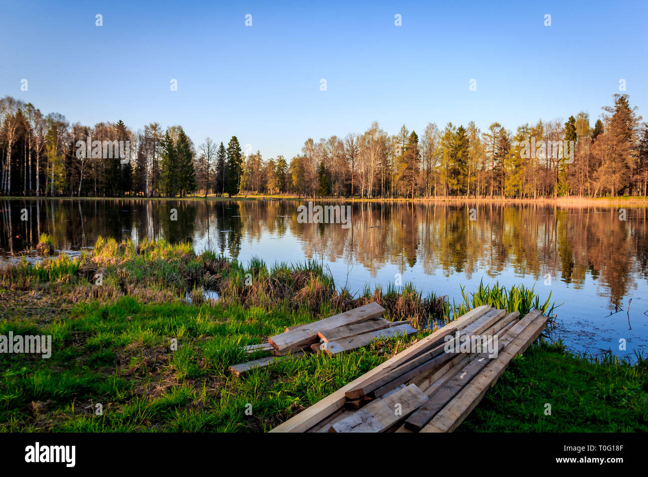 Sunny spring park urban. Warms in the park. Foliage blooms and the ...