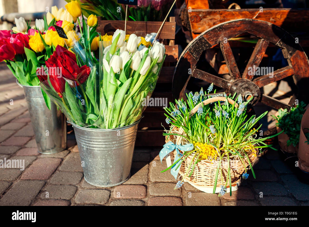 Flower market. Spring flowers in boxes and buckets ready for sale ...