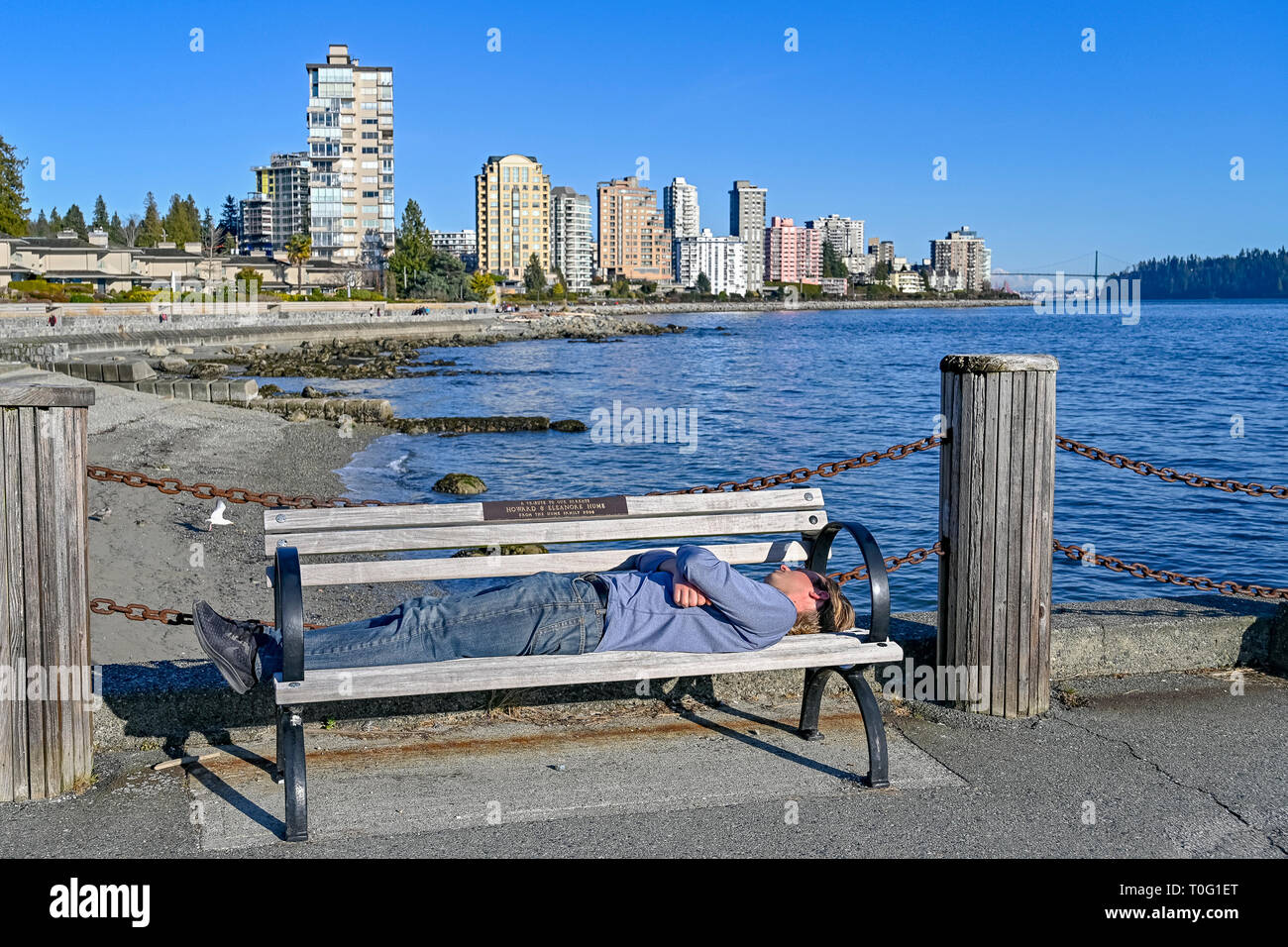 Young man sleeping on park bench, Dundarave Pier, West Vancouver ...