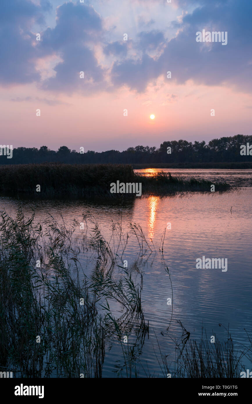 Delta del danubio, romania hi-res stock photography and images - Alamy
