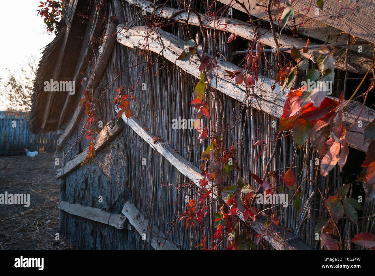 Old farm, Comuna C.A. Rosetti, Tulcea, Danube Delta, UNESCO WORLD ...