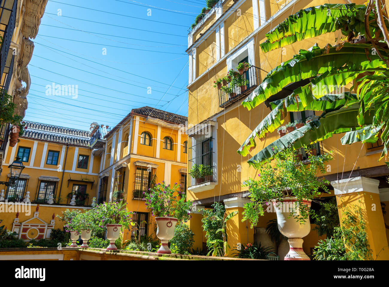 Old historic yellow buildings in the center of Seville, Spain Stock ...