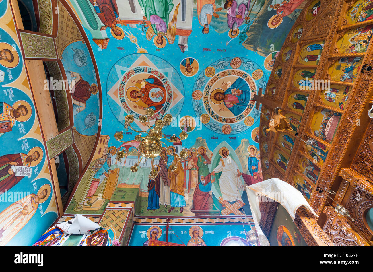 C a rosetti High Resolution Stock Photography and Images - Alamy