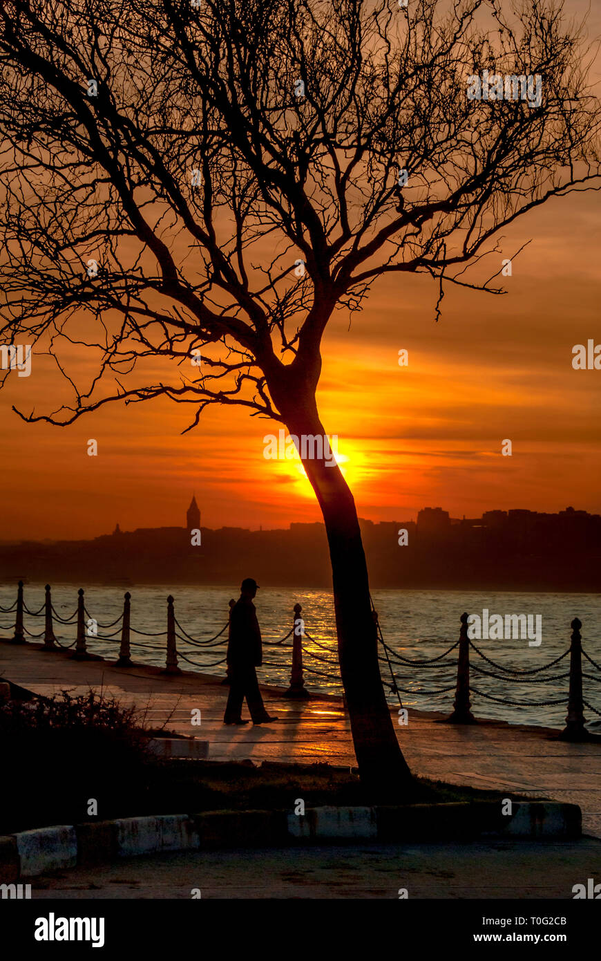 28 march 2006 hi-res stock photography and images - Alamy