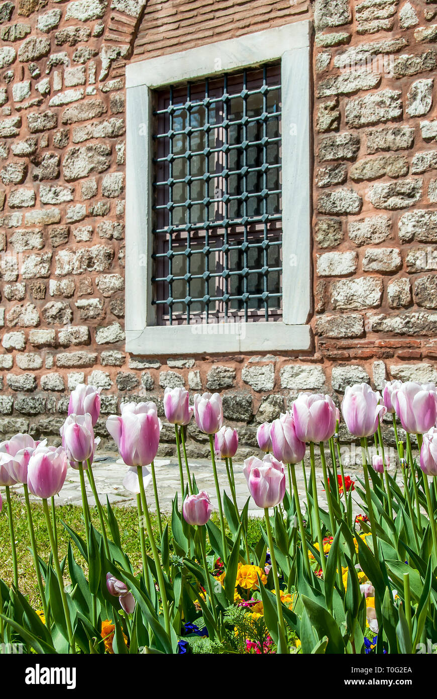 Istanbul, Turkey, 12 April 2007: Tulips of Topkapi Palace Stock Photo ...