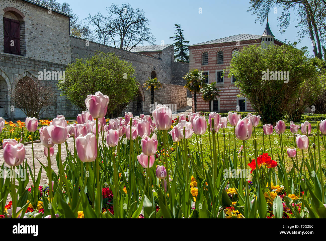 Istanbul, Turkey, 12 April 2007: Tulips of Topkapi Palace Stock Photo ...
