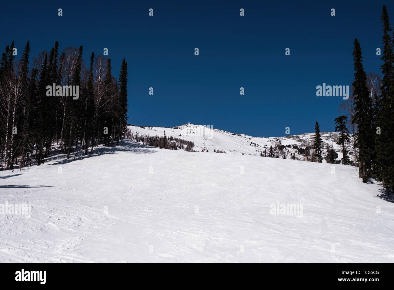 View of the snow slope on Mustag-mountain in the Mountain Shoria Stock ...