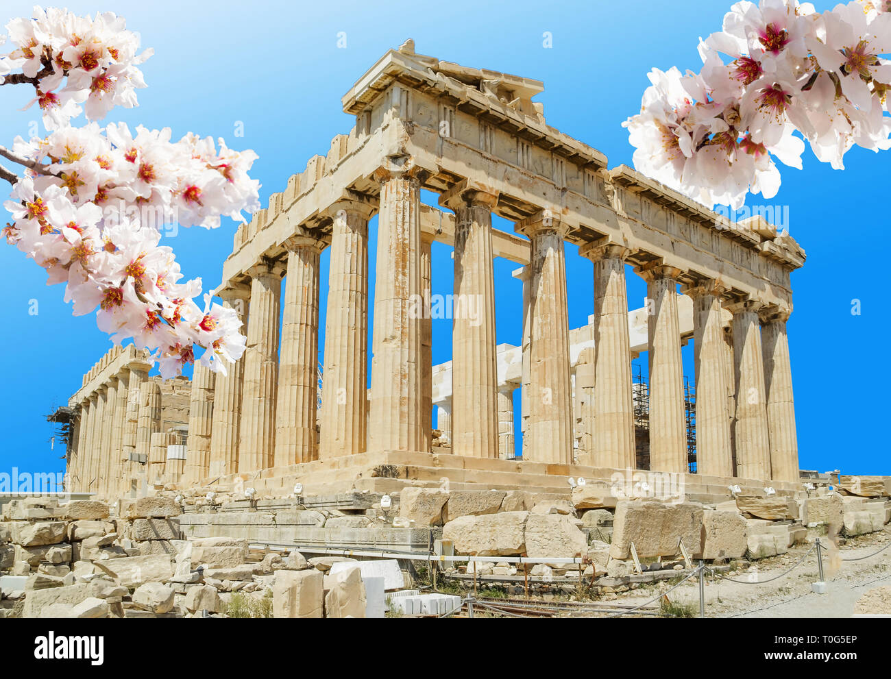 Almond archeology hi-res stock photography and images - Alamy
