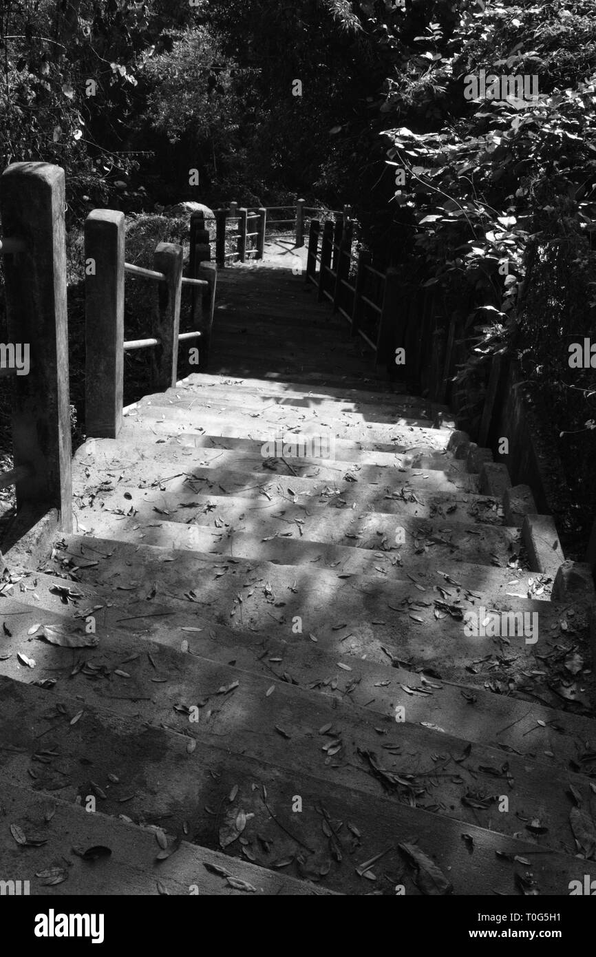 Stair downward hi-res stock photography and images - Alamy