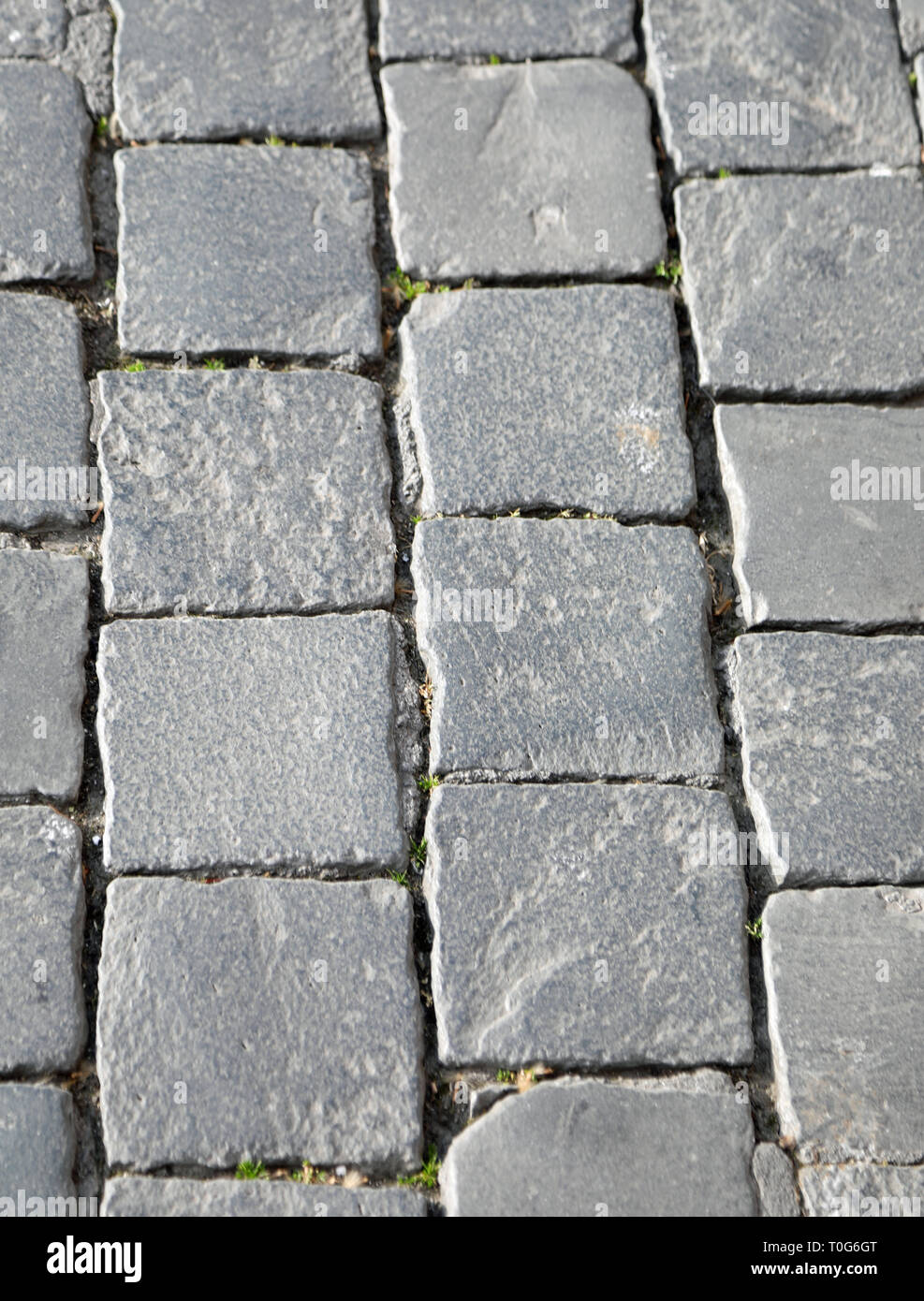 cobblestones of St. Peter's Square in the Vatican city called precisely ...
