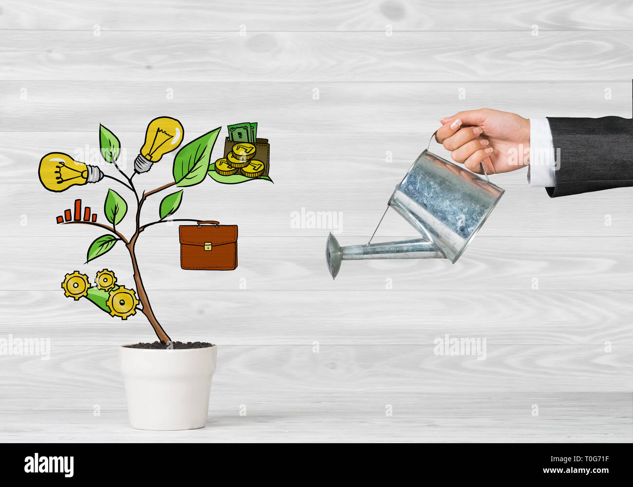 Drawn income tree in white pot for business investment savings and ...